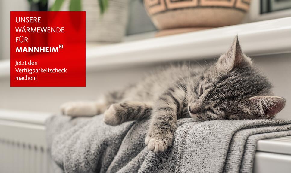 Startseite | Mannheim.de